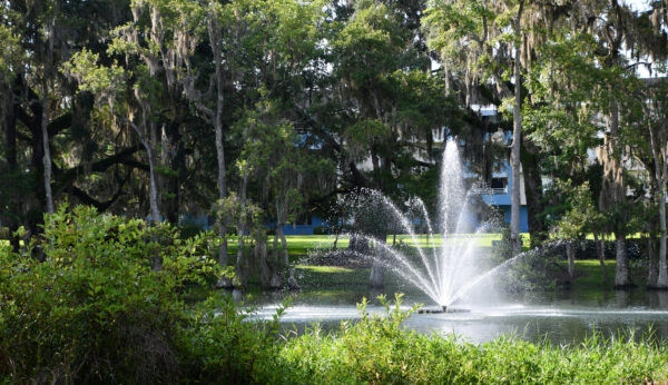 Lake and Pond Fountains: Installation and Maintenance