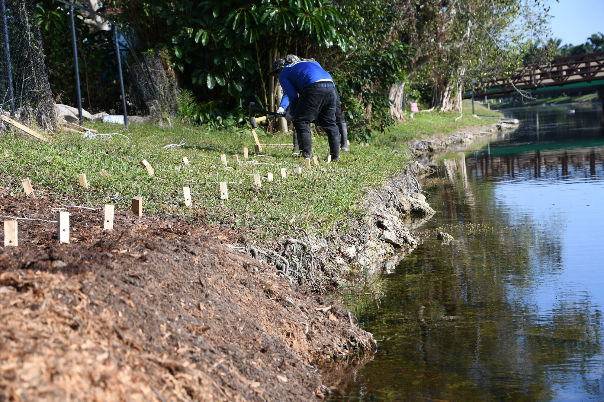 The Top 3 Shoreline Erosion Management Articles