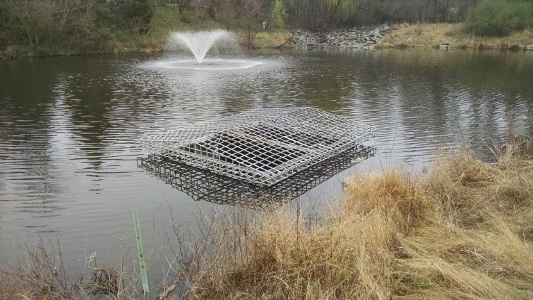 Taking it Back to the Basics: Stormwater Management Pond Parts