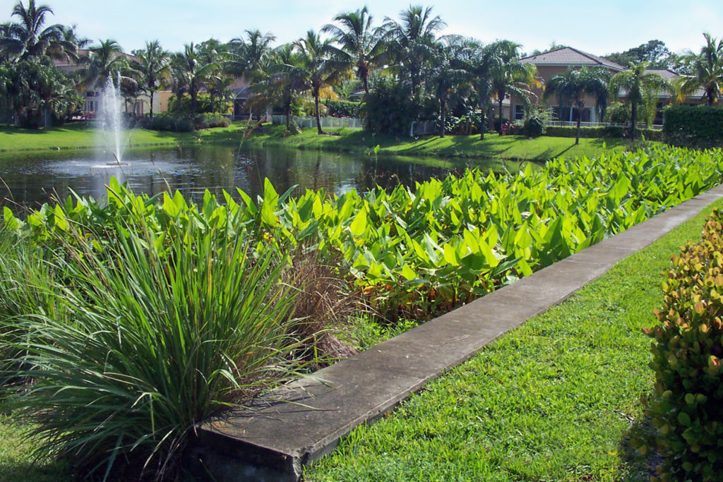 Buffer Management Services To Improve Lake And Pond Water Quality