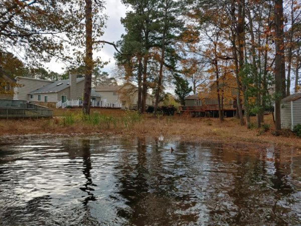 Hydro-Raking: Remove Muck and Aquatic Weeds