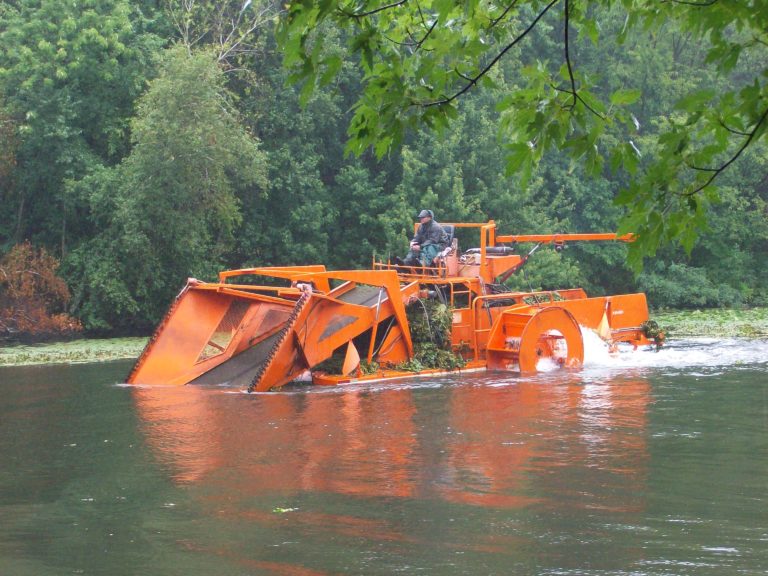 Effective & Custom Annual Pond Management Programs