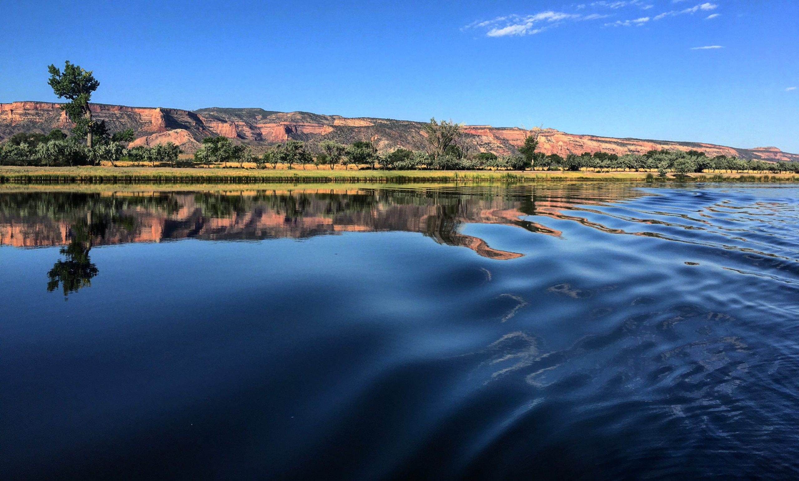 Lake & Pond Water Quality Restoration & Management Services