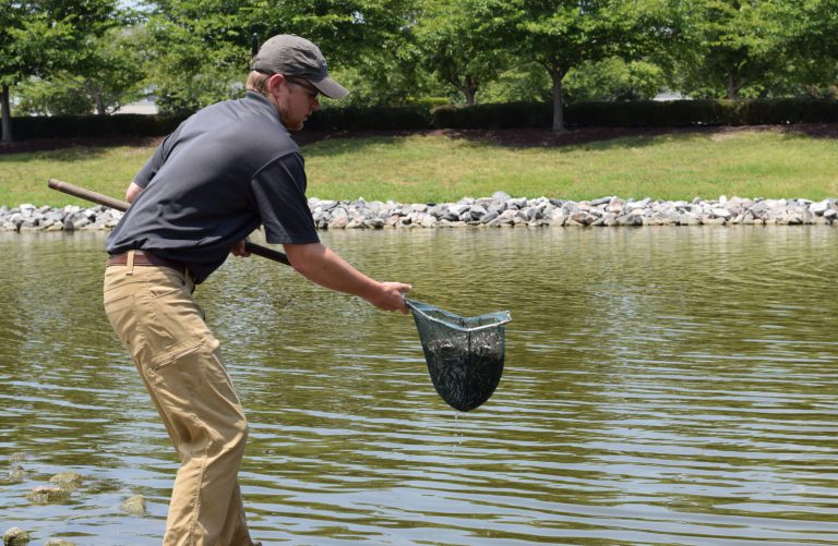 Effective & Custom Annual Pond Management Programs