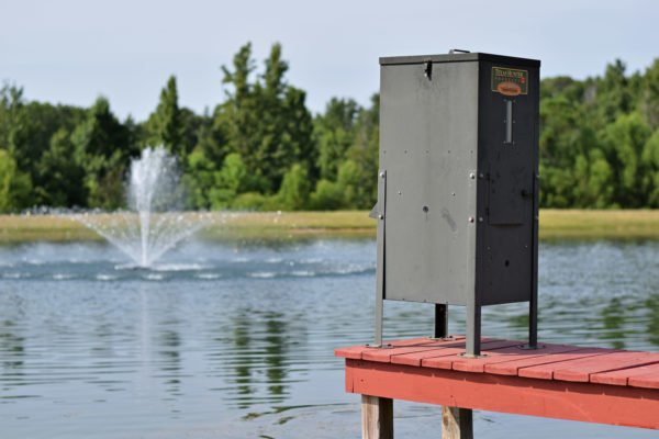 Fisheries Management Services: Stocking, Electrofishing, & More