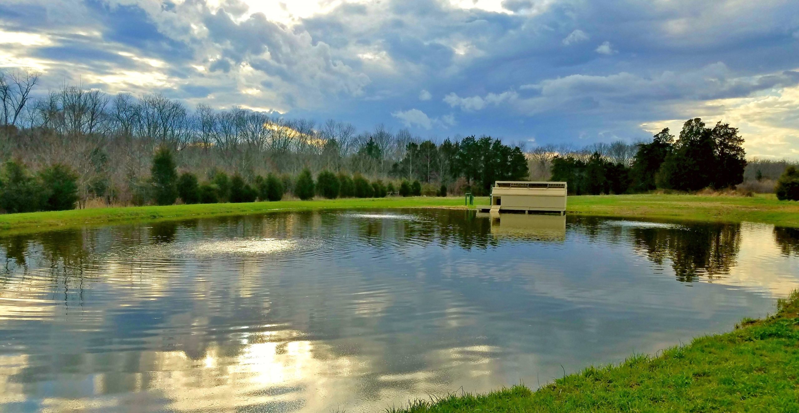 Fertilizer in Your Pond: Managing Nutrients to Change the Game