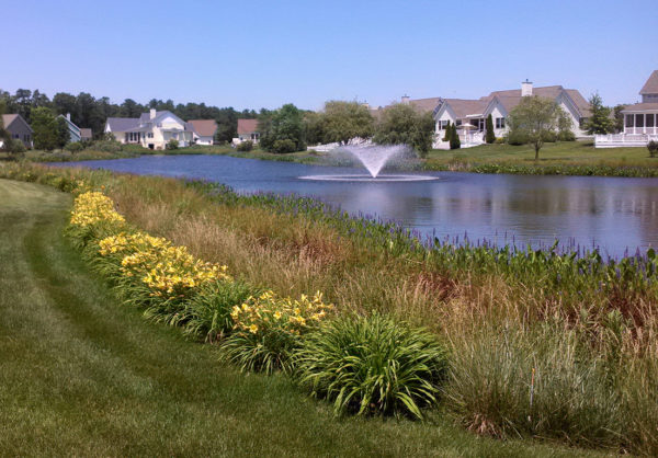 Taking it Back to the Basics: Stormwater Management Pond Parts