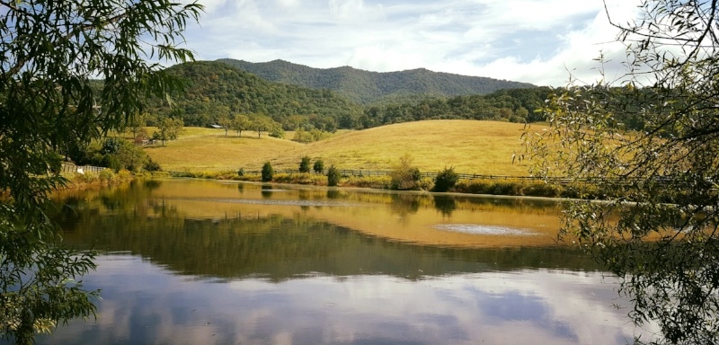 The Importance of Understanding Your Watershed