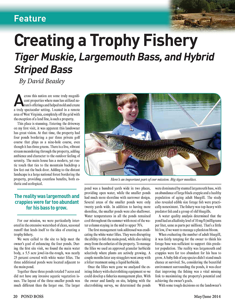 Creating a Trophy Fishery: From Tiger Muskie To Hybrid Striped Bass
