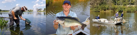 Success Stories and Case Studies | Fisheries Management