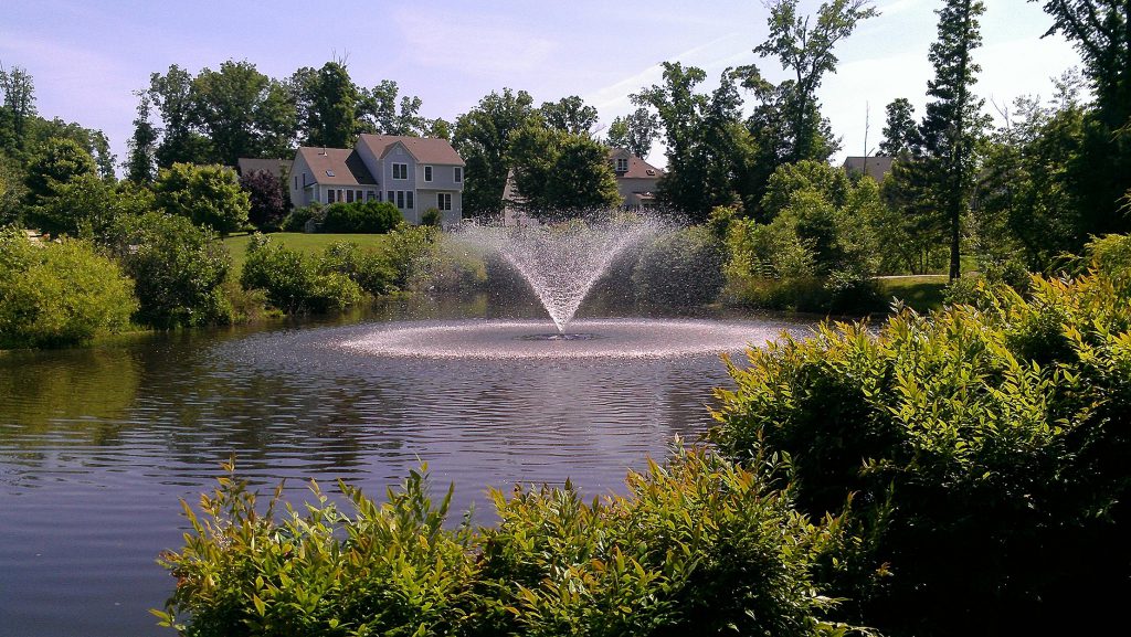 Winter Buffer Trimming For Healthy Spring Ponds