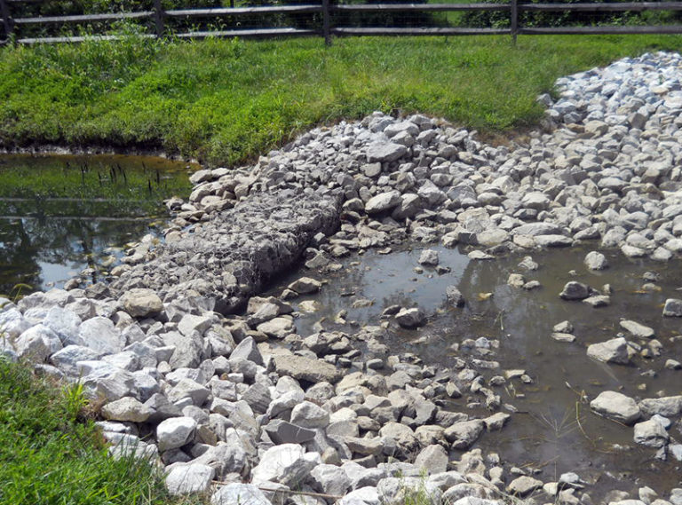 Taking it Back to the Basics: Stormwater Management Pond Parts