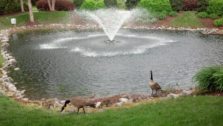Goose Control Perfected With The Rectractable Goose D-Fence