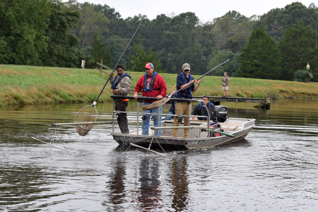 What Is Electrofishing? Understanding the Process