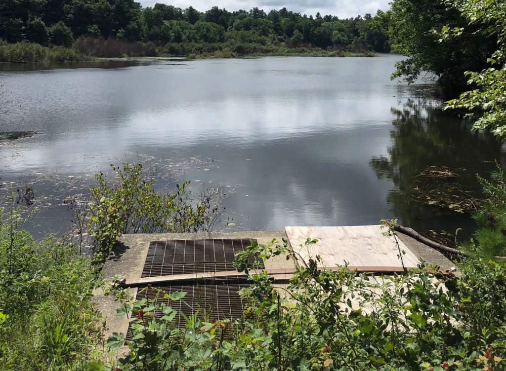 Hydro-Raking: Remove Muck and Aquatic Weeds