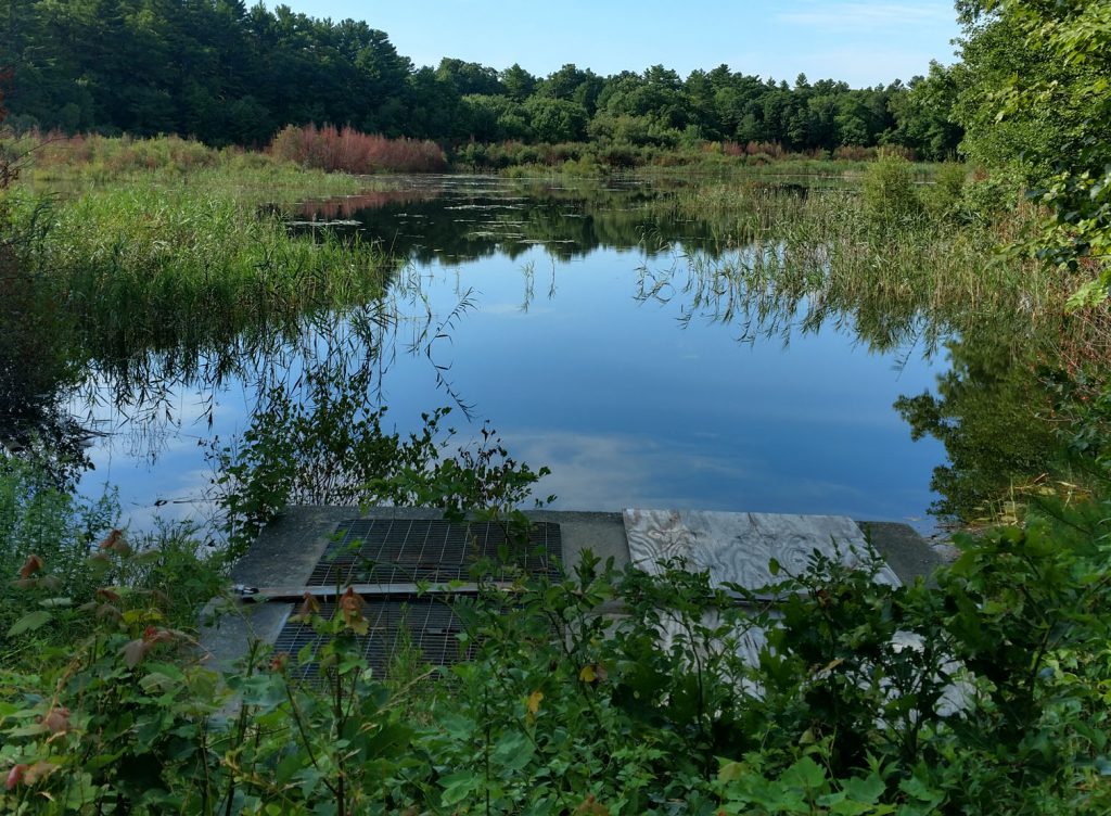 Hydro-Raking: Remove Muck and Aquatic Weeds