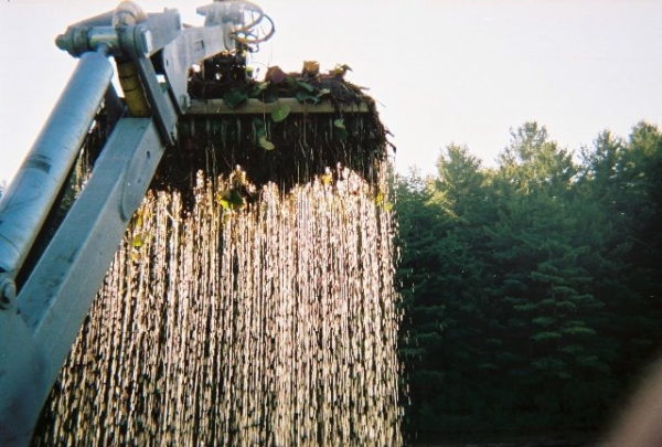 Remove Lake Muck and Invasive Pond Plants With Hydro-raking