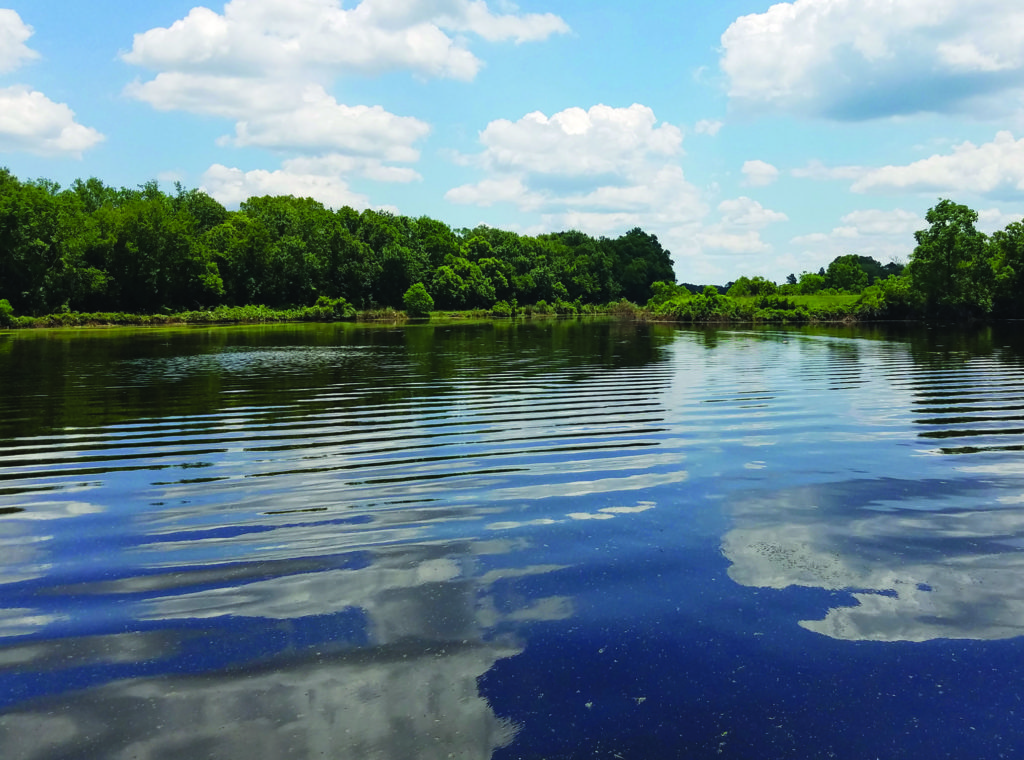 Use ProcellaCOR To Safely Target Invasive Aquatic Weeds