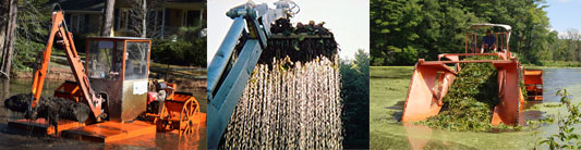 Success Stories and Case Studies: Mechanical Harvesting & Hydro-Raking