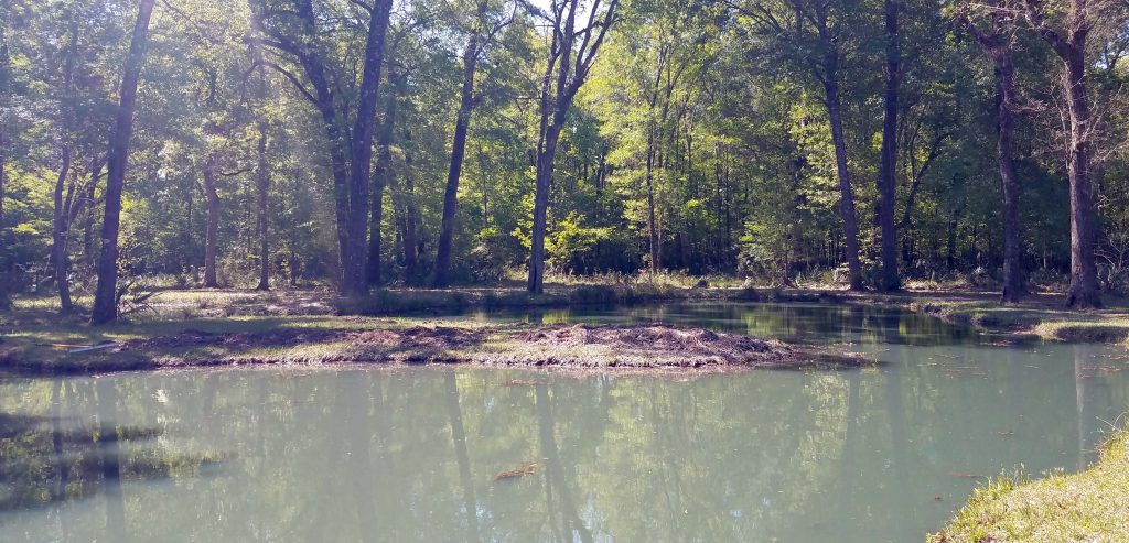 Use ProcellaCOR To Safely Target Invasive Aquatic Weeds