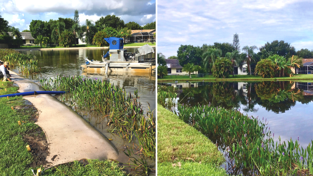 Erosion Control Solutions, Beneficial Buffers & Shoreline Management