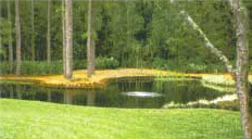 Sweetwater Air Diffuser: Efficient, Low-Cost Lake And Pond Aeration
