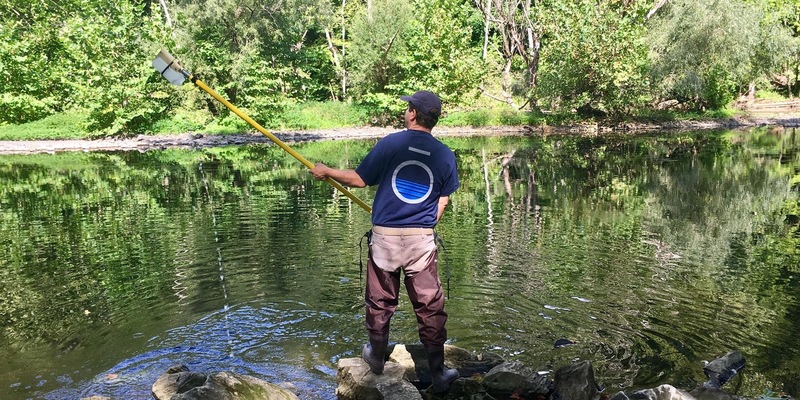 Use Water Quality Testing to Customize Your Lake Management Strategy