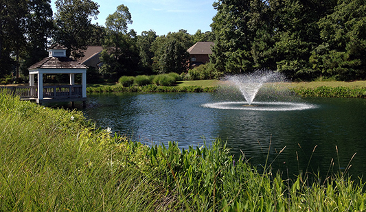 Winter Buffer Trimming For Healthy Spring Ponds
