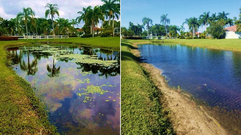 Eradicating Pond Weed at Golf CourseSFPMA