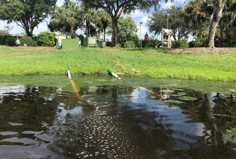 The Best Ways to Control Pond Algae