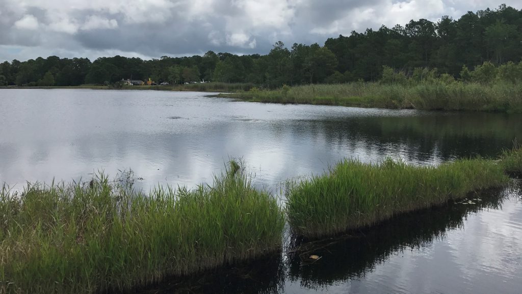Mechanical harvesting vs. hydro-raking... Which tool is the best fit ...
