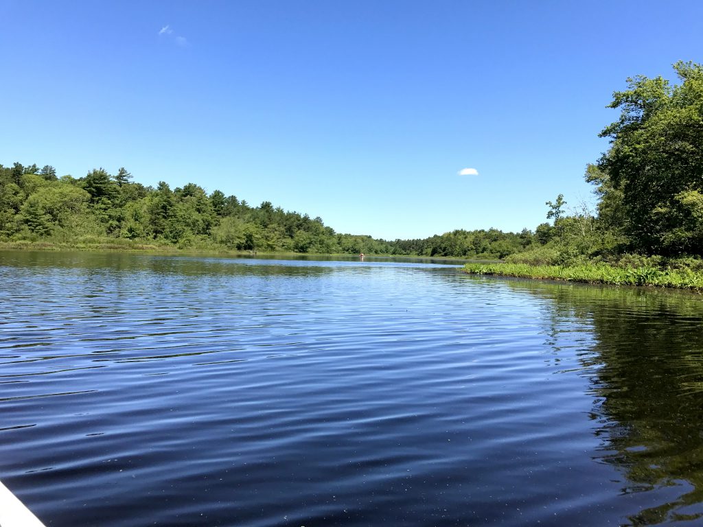 The Aquatic Control Technology Journey In Lake & Pond Management