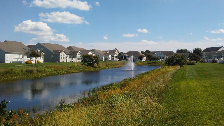 Establishing a Vegetative Buffer Along Your Lake’s Shoreline