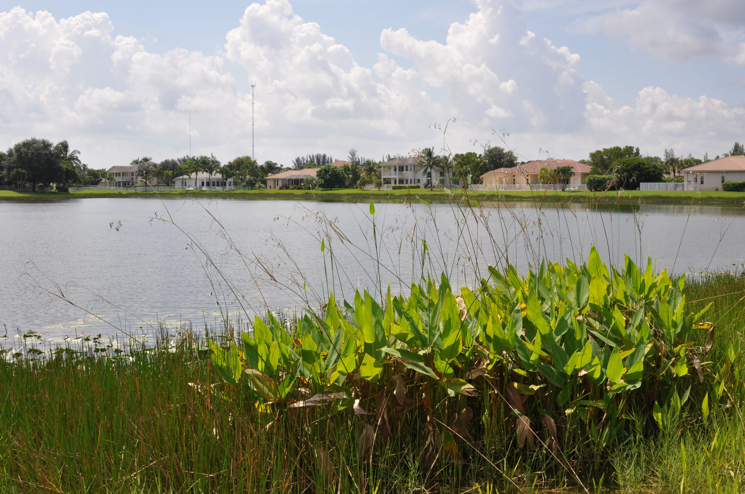 How to Reduce Pond Shoreline Erosion and Repair Damage