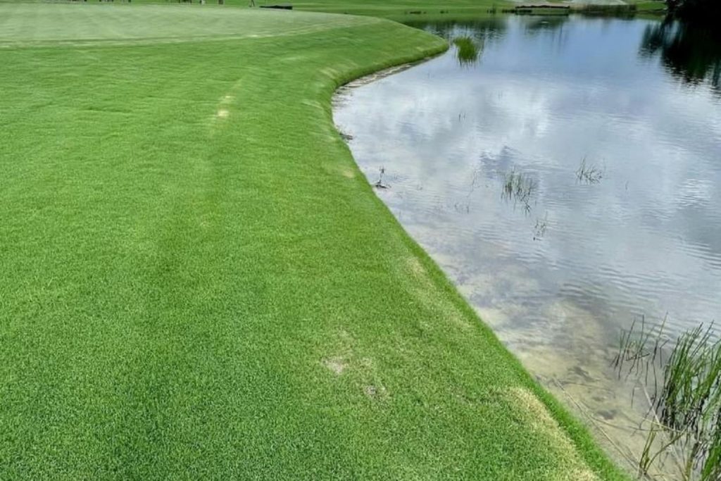 Proactive Golf Course Pond Management: Captivate & Challenge Players