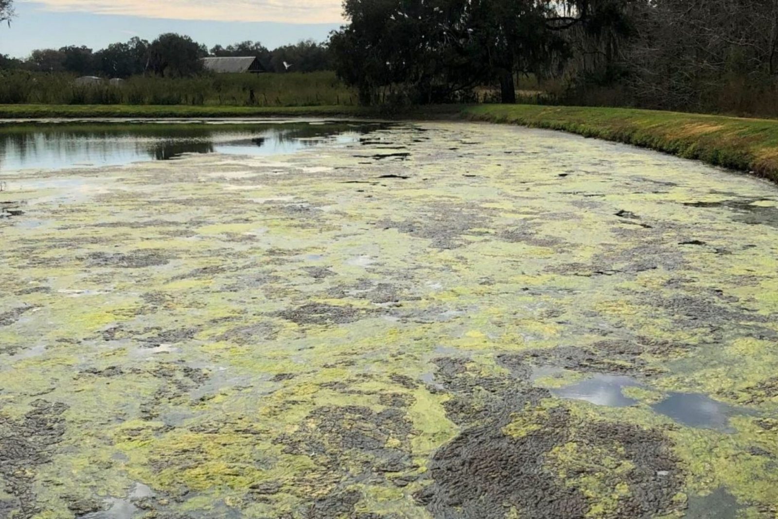 SOLitude In Florida: Tampa, Orlando, Miami, Fort Myers, Sarasota & More