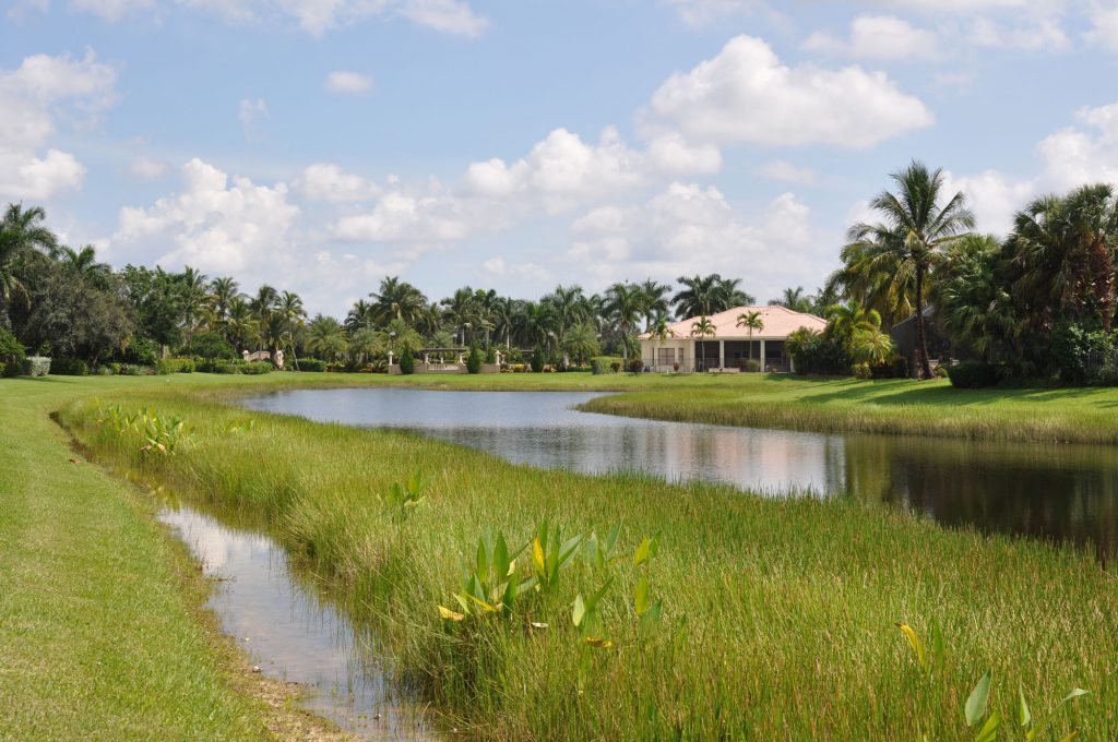 Pond Littoral Zone – What Is It And Why Is It Important?