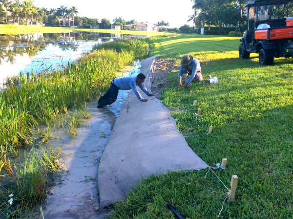 Erosion Control Solutions, Beneficial Buffers & Shoreline Management