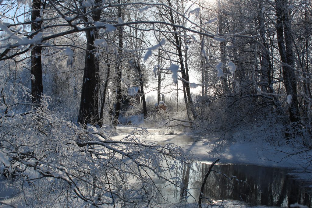 Winter Pond Safety Tips