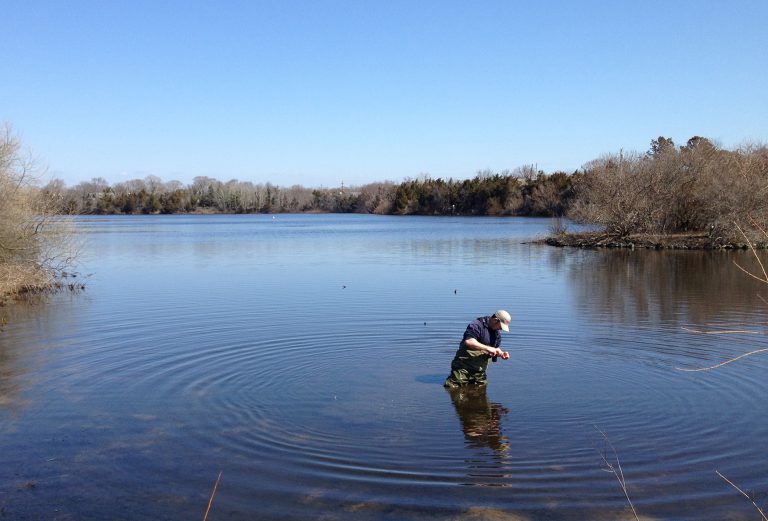 Lake Restoration: A Complete Guide to Maintaining Lake & Pond Health