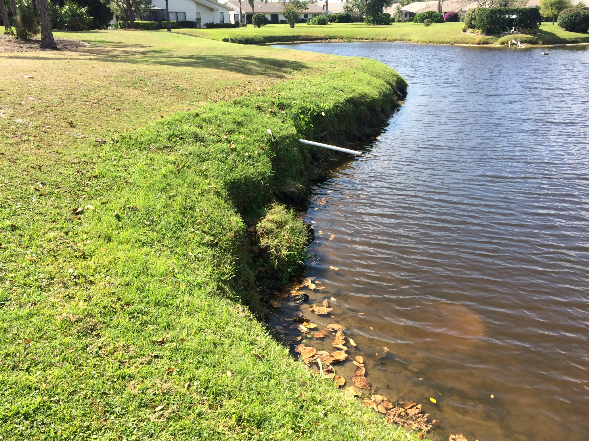 The Many Effects of Erosion on Florida Lakes