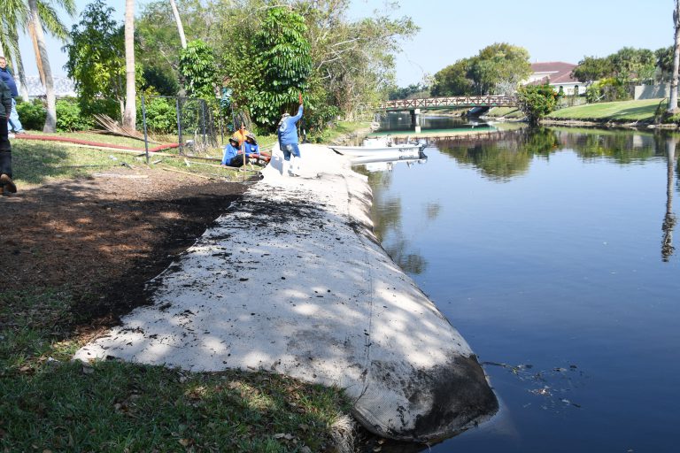Pond Shoreline Stabilization: Create A Living Shoreline