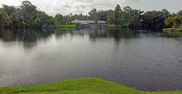 Lake Restoration: A Complete Guide to Maintaining Lake & Pond Health