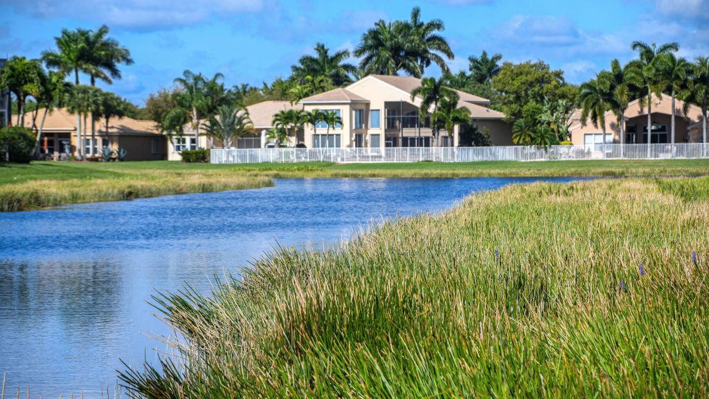 Littoral Zone Management for Lakes & Ponds