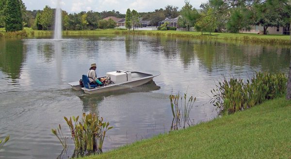 Understanding Invasive Hydrilla and Hydrilla Control Tools
