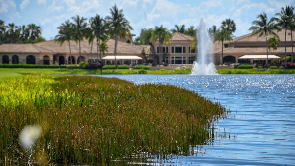 Littoral Zone Management for Lakes & Ponds