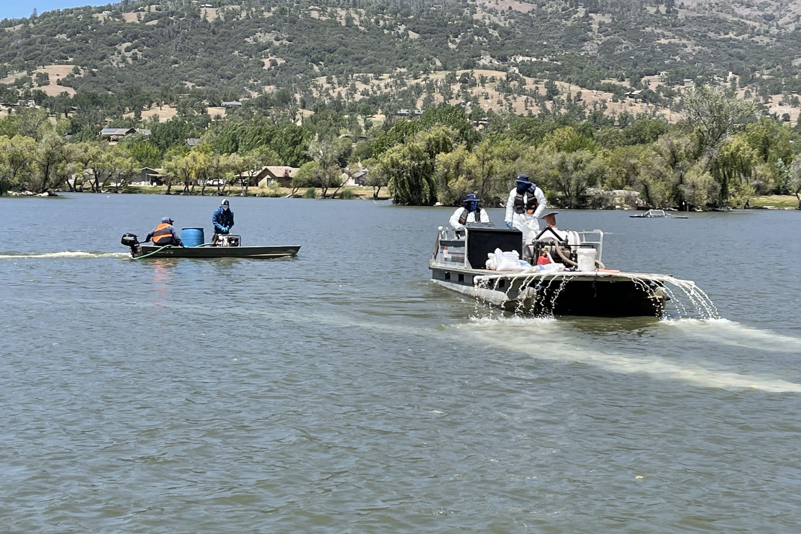 3 Solutions for Managing Excess Lake and Pond Nutrients