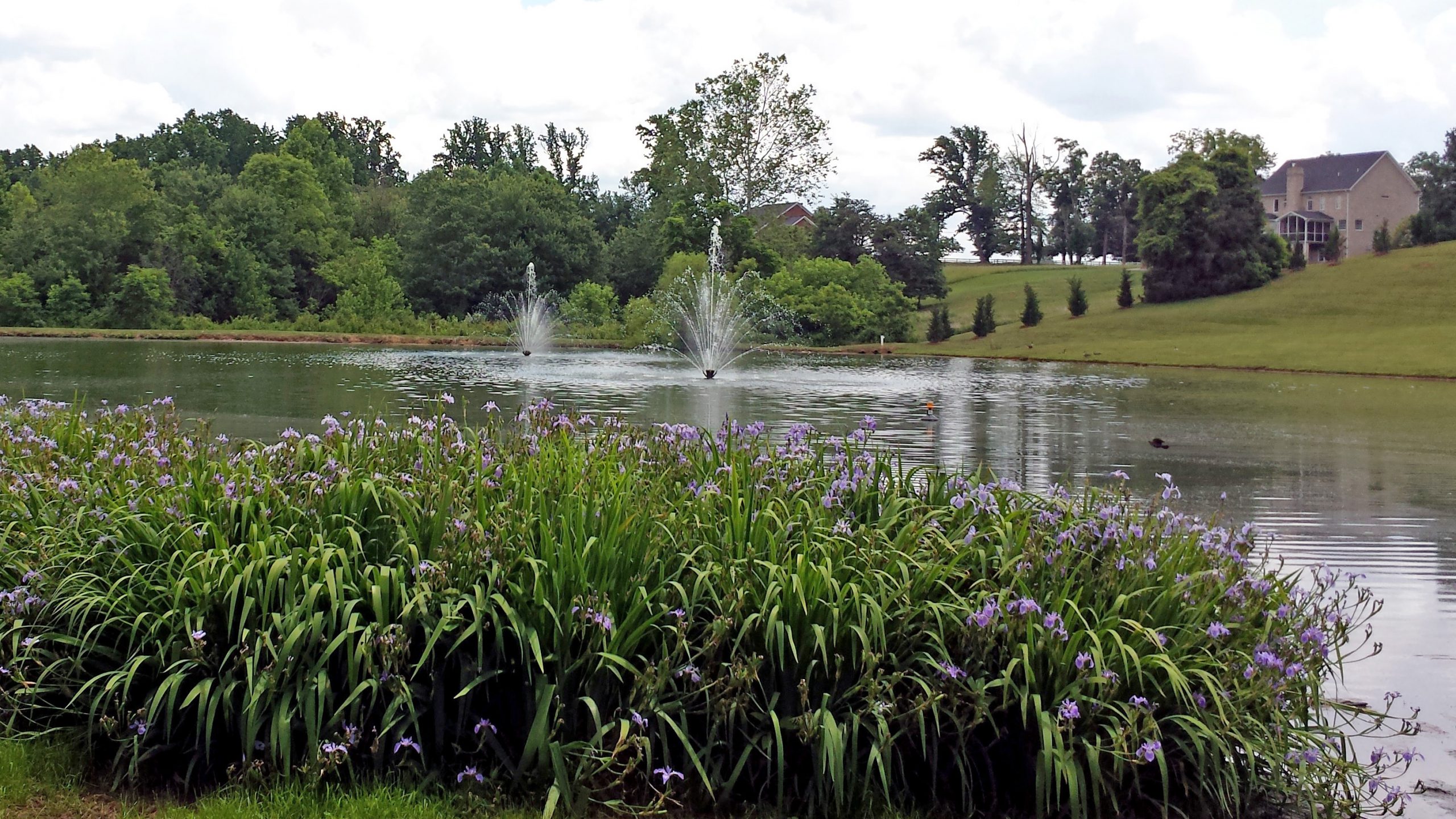 Arkansas Lake & Pond Management: SOLitude Lake Management