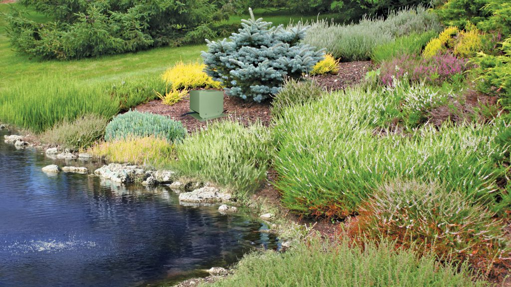 Beneficial Buffers: Native Plants For Ponds & Lakes In the North West
