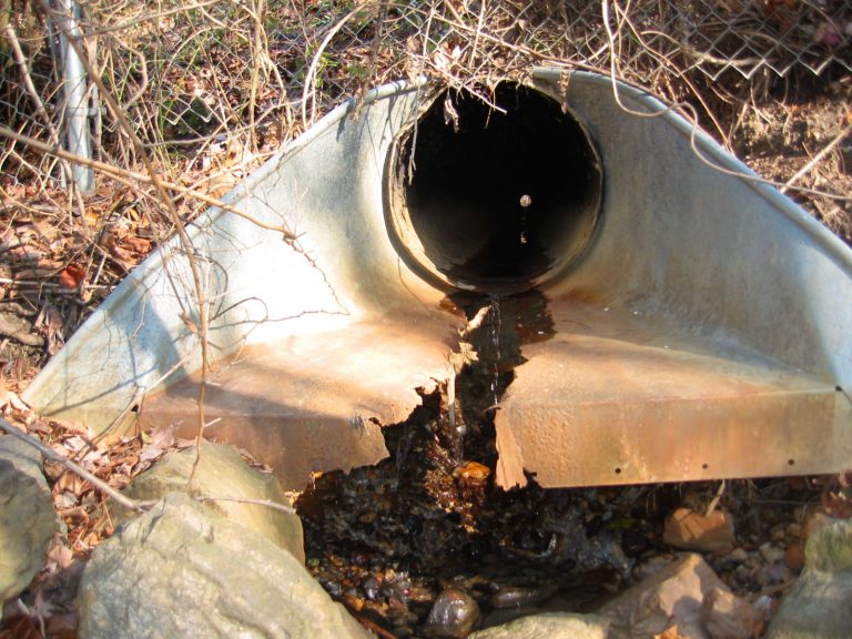 Pond and Lake Pollution: How it Affects Water Quality